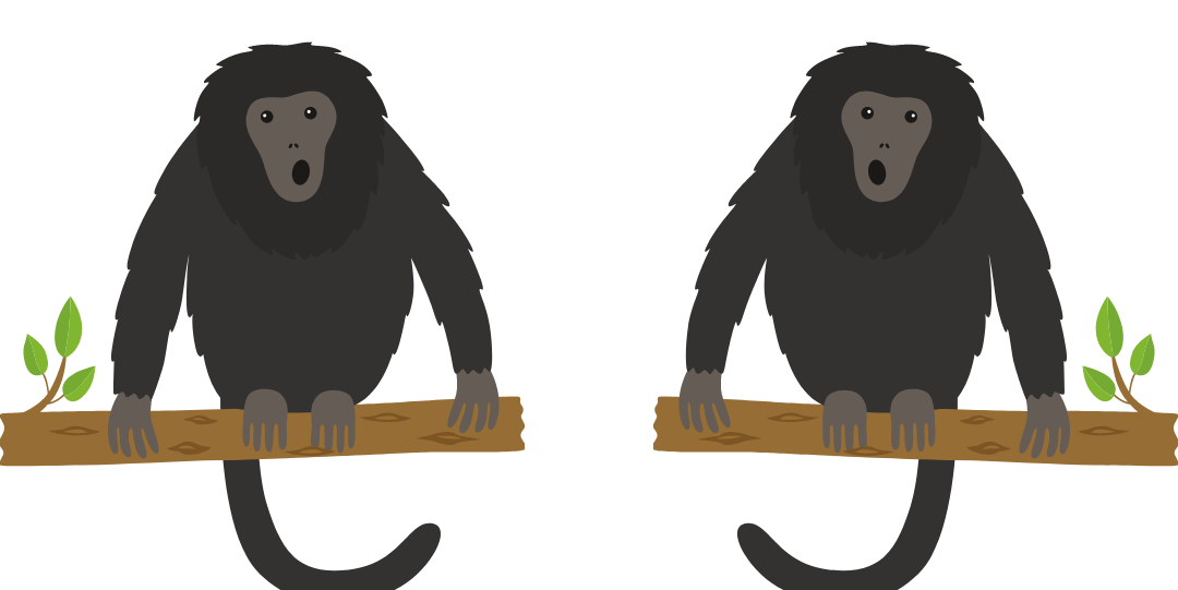 The Loudest Animal on Land: Five things you need to know about the Howler Monkey - Earth Rewards ...
